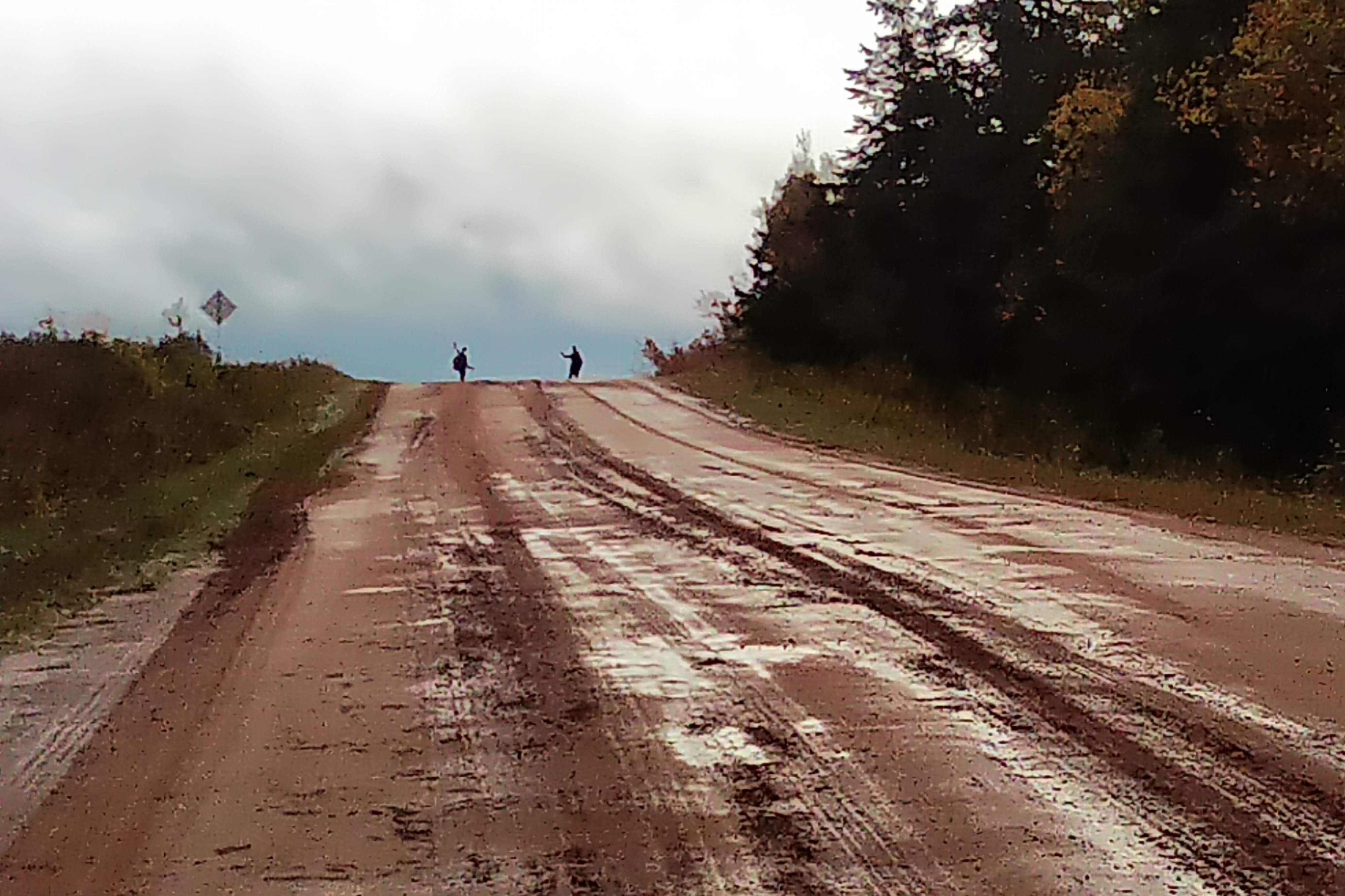 The Island Walk | Island Trails